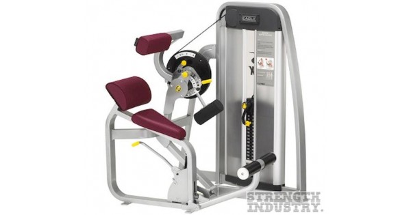 Cybex Back Extension
