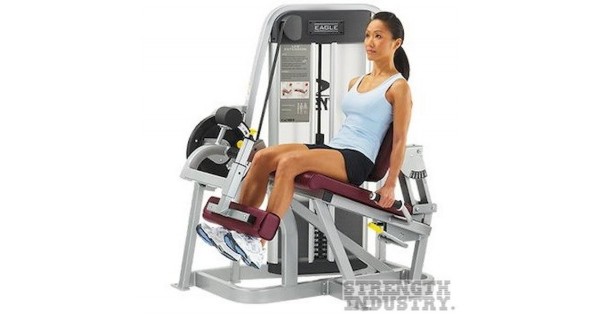 Cybex Leg Extension