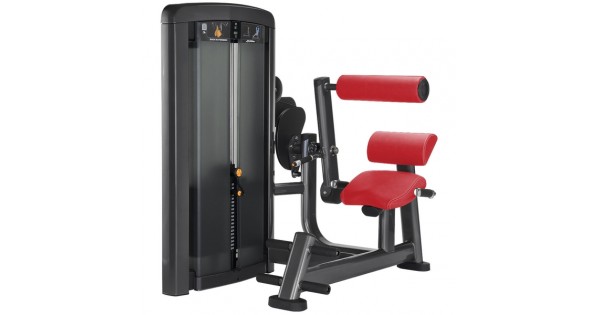 Life Fitness Insignia Back Extension