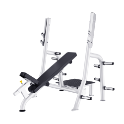 Magnum Fitness System