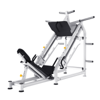 Linear Leg Press - Magnum Fitness